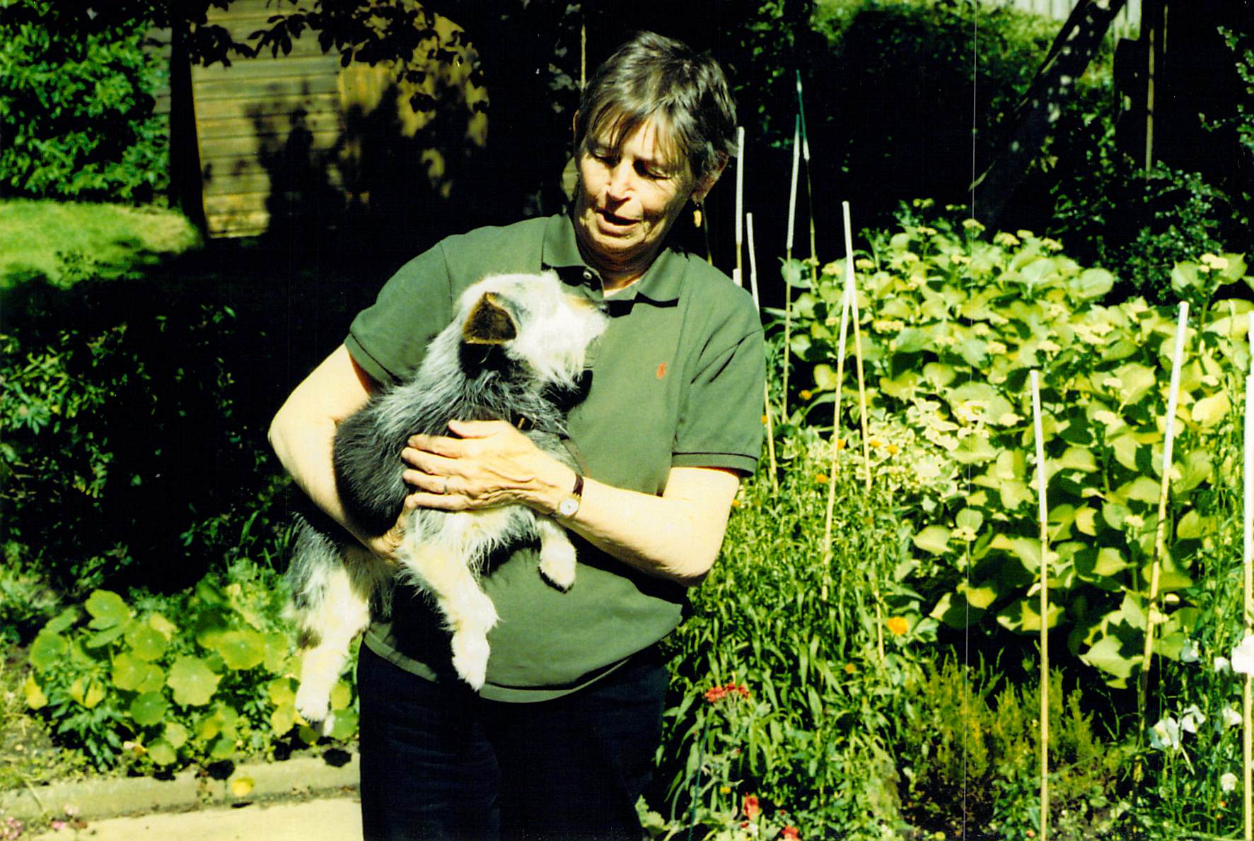 I Like Dogs Too – Janet's Thread 2