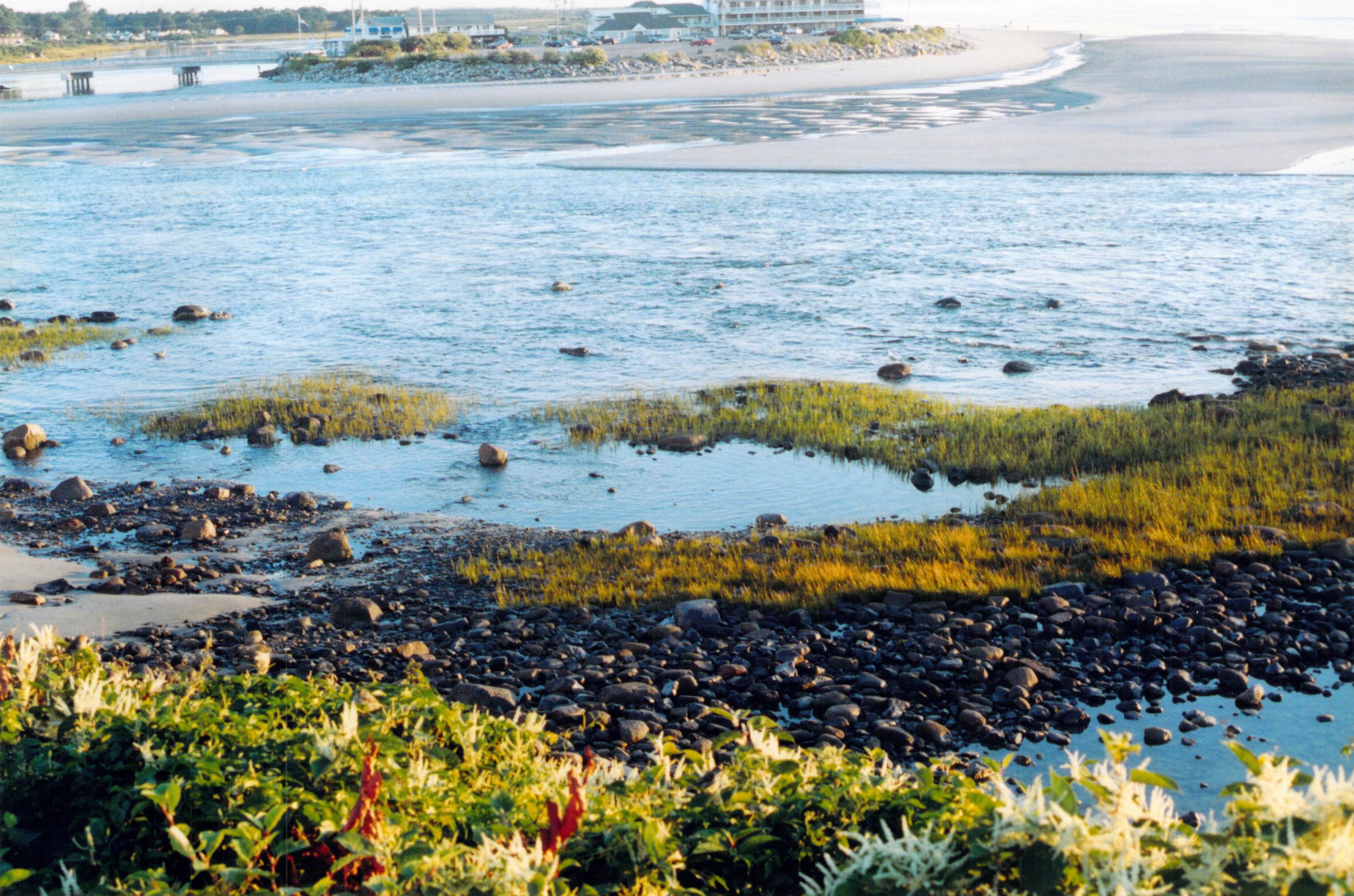 Ogunquit River on the Maine Coast – Janet's Thread 2