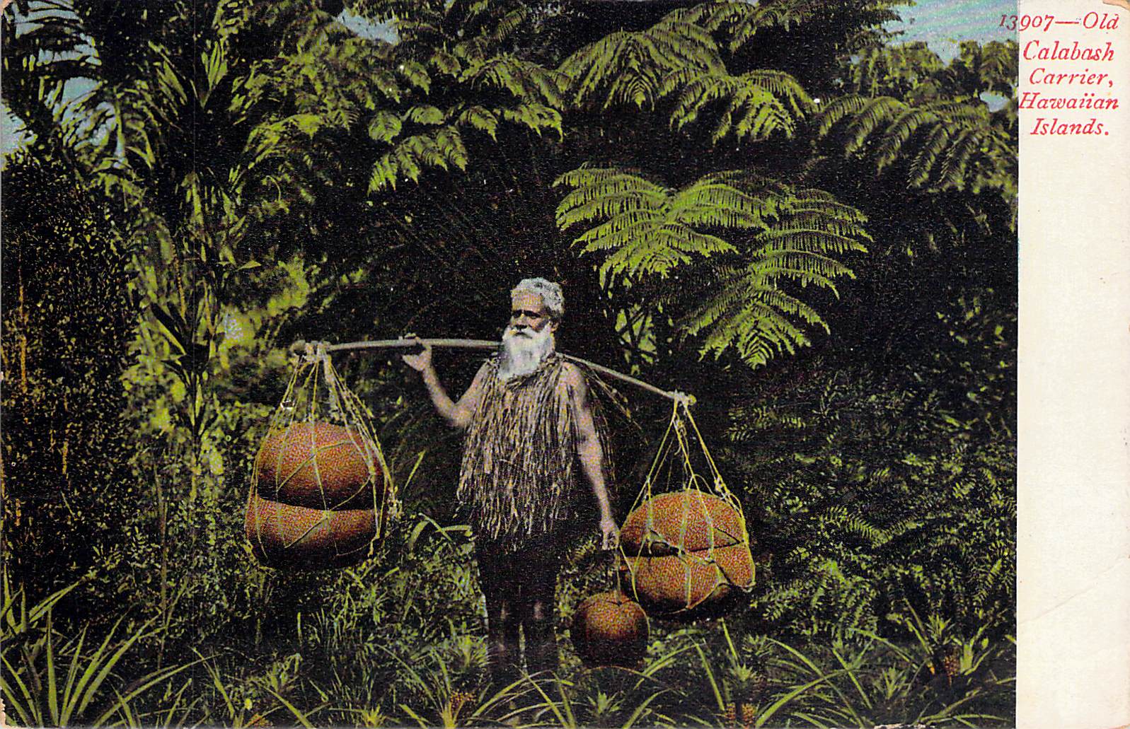 Calabashes – Janet's Thread 2