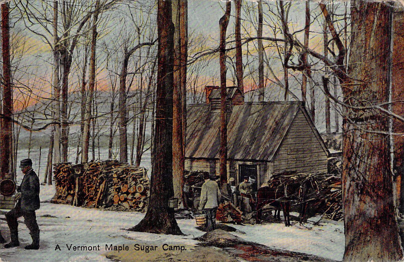 It’s Maple Sugar Time In Northern New England – Janet's Thread 2