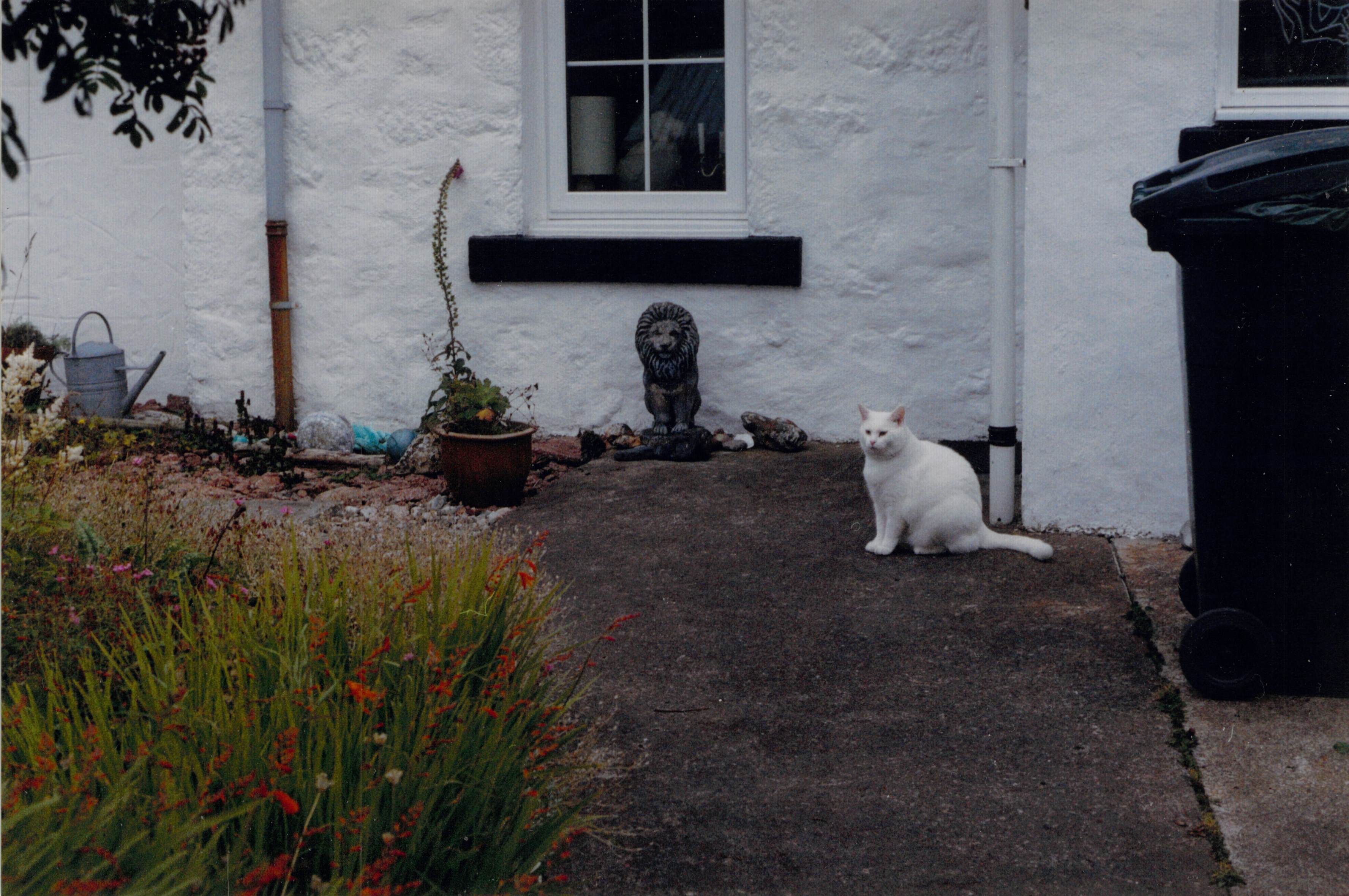 Matching Cat and House – Janet's Thread 2