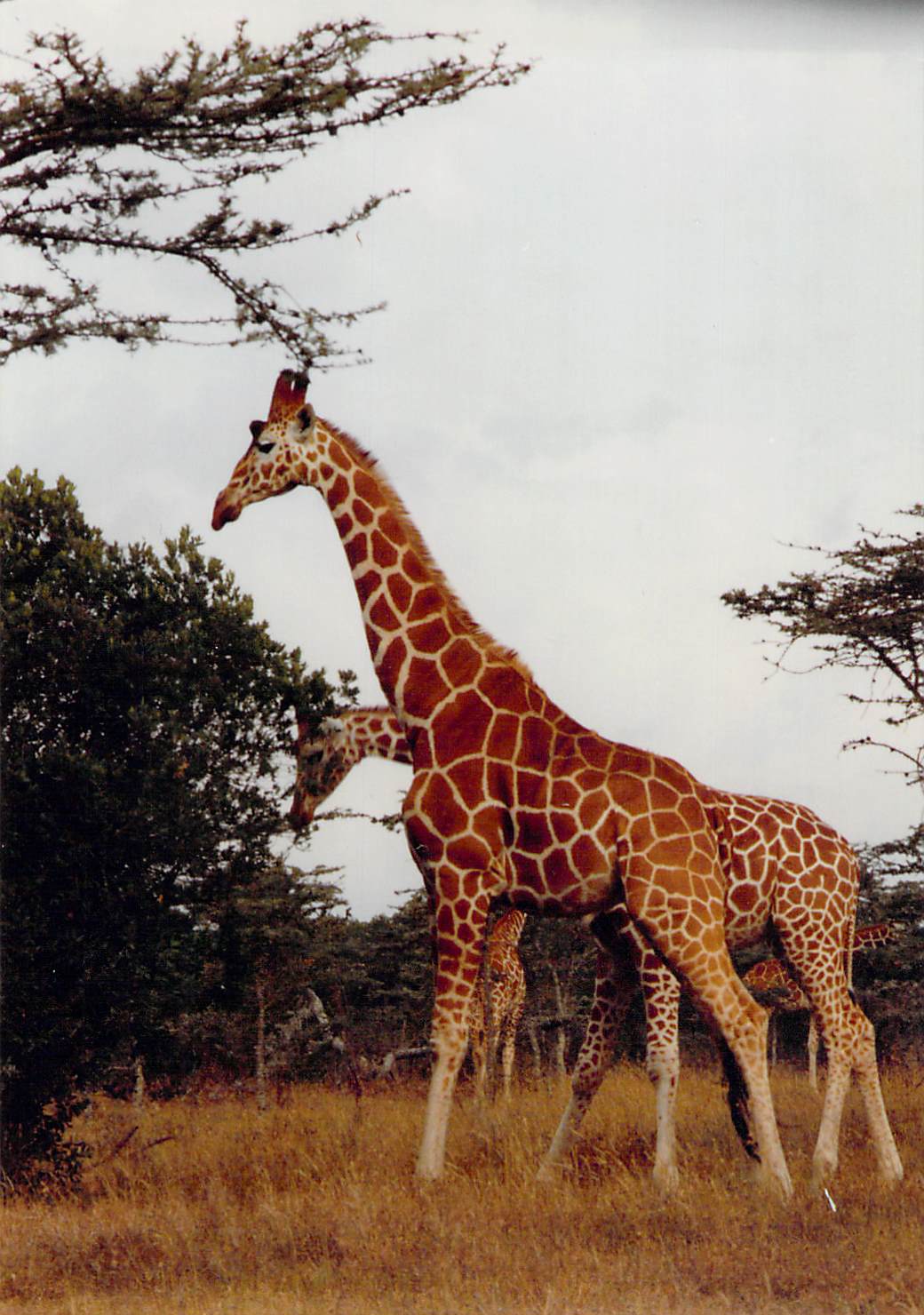 From My Photo Album – Janet's Thread 2